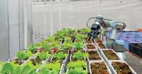 China Intelligent Vertical Hydroponic System Aeroponic Tower Zip Channel for sale
