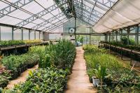 China Polycarbonate Sheet Venlo Type Greenhouse Roof Ventilation for sale