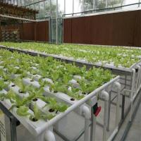 China Intelligent Hydroponic Passive Solar Greenhouse Kits Greenhouse Bench System for sale