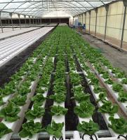 China Intelligent Hydroponic Passive Solar Greenhouse Kits Greenhouse Bench System for sale