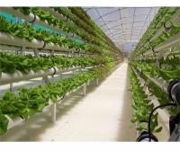 China NFT System Vertical Hydroponics Garden Automatic Humidity Control for sale