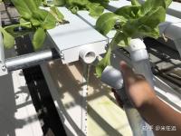 China Hydroponic Grow System Garden Including LED Fluorescent And HID Lighting for sale