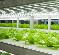 China NFT System Vertical Hydroponics Garden Automatic Humidity Control for sale