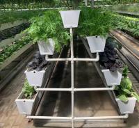 China LED Hydroponic System With Automatic Watering Rockwool Grow Medium Manual PH Control for sale