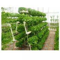 China Intelligent Vertical Hydroponic System Aeroponic Tower Zip Channel for sale