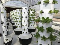China Customized Length Greenhouse Benches with Modern Design Option for sale