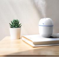 China 250ml Mini Humidifier Aroma Oil Diffuser with Colorful Night Light OEM/ODM Supported for sale