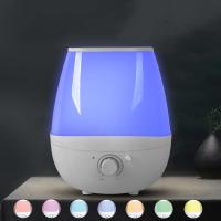 China Power Source Vehicle Power Supply 2.0L Air Humidifiers Changing Night Light Quiet Cool for sale