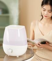 China Power Source Vehicle Power Supply 2.0L Air Humidifiers Changing Night Light Quiet Cool for sale