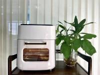 China Commercial Electric Deep Fryer 12L 15L Air Fryer Oven 1400W Digital Control Thermostat for sale