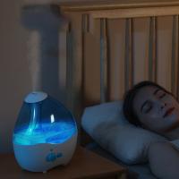 China Wholesale Cool Mist Ultrasonic Humidifier 2L 28dB Quiet for Bedroom Air Humidifier for sale