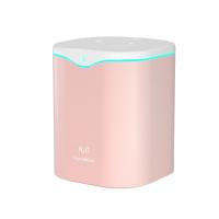 China USB Ultrasonic Aromatherapy Humidifier 5V 2W Double Nozzle for Car Hotel Home for sale