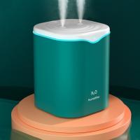 China USB Ultrasonic Aromatherapy Humidifier 5V 2W Double Nozzle for Car Hotel Home for sale