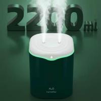 China USB Ultrasonic Aromatherapy Humidifier 5V 2W Double Nozzle for Car Hotel Home for sale
