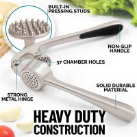 China Stainless Steel Garlic Press Crusher Mincer 170mm Kitchen Tool for Cooking for sale