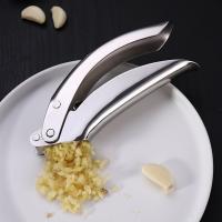 China Stainless Steel Garlic Press Grinder 304SS 18x3cm Easy Clean Rust Proof Kitchen Gadget for sale