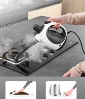 China OEM/ODM High Temperature Steam Cleaner Machine for Car Window Stain Remove for sale