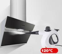 China OEM/ODM High Temperature Steam Cleaner Machine for Car Window Stain Remove for sale