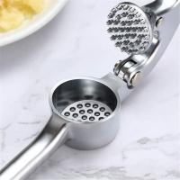 China Chrome-faced Zinc Alloy Manual Garlic Press 17x3.5x4.5cm Kitchen Tool for sale