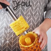 China Manual Stainless Steel Fruit Slicer 24x11cm Sharp Blade Detachable Handle Pineapple Corer for sale