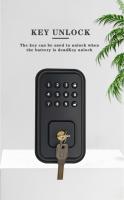 China Battery Powered Digital Smart Lock with TTlock Tuya WiFi App 1kg Black for sale