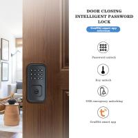 China Battery Powered Digital Smart Lock with TTlock Tuya WiFi App 1kg Black for sale