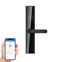 China Outdoor Security Digital Door Handle with Tuya Ttlock and Fingerprint Recognition for sale