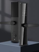 China Outdoor Security Digital Door Handle with Tuya Ttlock and Fingerprint Recognition for sale