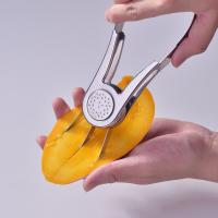China 304 Stainless Steel 2 in 1 Mango Peeler and Slicer Manual Fruit Digging Tool 17.8cm for sale