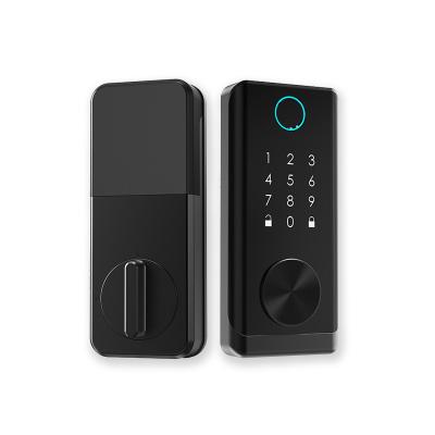 China Digital Smart Lock Keyless Entry Fingerprint Password RFID Card Key 5-in-1 for Wood Steel Door for sale
