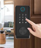 China Digital Smart Lock Keyless Entry Fingerprint Password RFID Card Key 5-in-1 for Wood Steel Door for sale