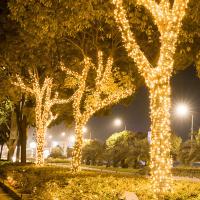 China 10m 100 LED Christmas String Lights Plug-in Waterproof Holiday Decoration for sale