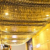 China 10m 100 LED Christmas String Lights Plug-in Waterproof Holiday Decoration for sale
