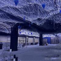China 10m 100 LED Christmas String Lights Plug-in Waterproof Holiday Decoration for sale