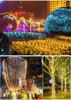 China Waterproof PVC LED String Lights 100 LED 10m Outdoor Party Wedding Halloween Decoration for sale