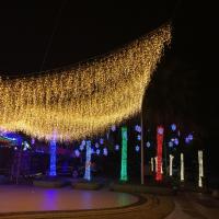 China Outdoor Waterproof 300m Purple LED Fairy String Lights for Christmas Holiday Decoration for sale
