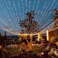 China Outdoor Waterproof 300m Purple LED Fairy String Lights for Christmas Holiday Decoration for sale
