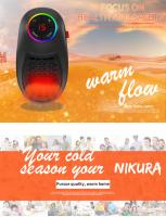China Home Electric Heater with Adjustable Thermostat 500W Fast Heating Plug-in for Cozy Winter for sale