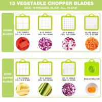 China 22pcs Vegetable Slicer Dicer with Drain Basket Handle 26x15.5x14.5cm Mandoline Cutter for sale