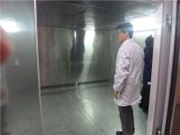 China Walk-In Climatic Test Chamber | Large Temperature Humidity Room for Environmental Simulation for sale