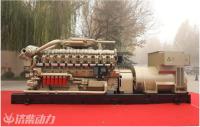 China biogas generaotr for sale