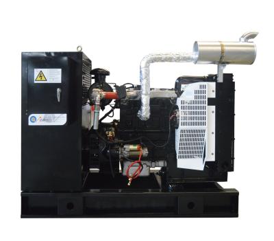 China 30KW Biogas Generator for Sale Small Biogas Generator for sale