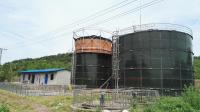 China Biogas generator biogas plant for pig farm for sale