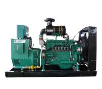 China Biogas electric generator biogas plant 200kw 300kw for sale