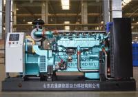 China Gas Power Generator Biogas Plant 100kVA 200kVA  for Sale for sale
