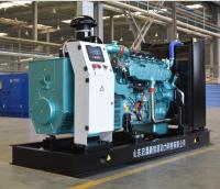 China 150kw 160kw Biogas Plant Electric Generator Set for Sale for sale