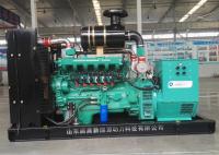 China 150kw 160kw Biogas Plant Electric Generator Set for Sale for sale