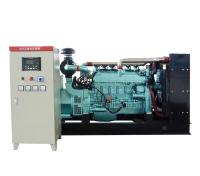 China 8kw-1500kw Biogas Natural Gas LPG Generator Set for Sale for sale