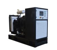 China 10-1000 kw natural gas generator price for sale