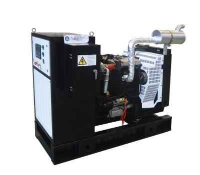 China 10kw 50kw 100kw water cooled natural gas generator for sale